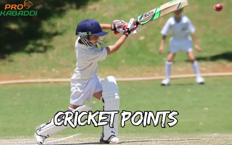 Unlocking the Secrets of Cricket Points in Pro Kabaddi - Pro Kabaddi